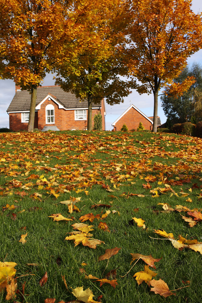 Protecting Your Home This Fall | Exterior Maintenance Tips
